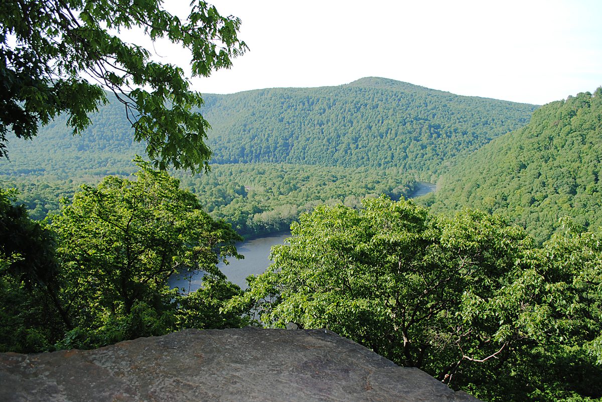 State College Man drowns while kayaking at Ohiopyle - Observer-Reporter